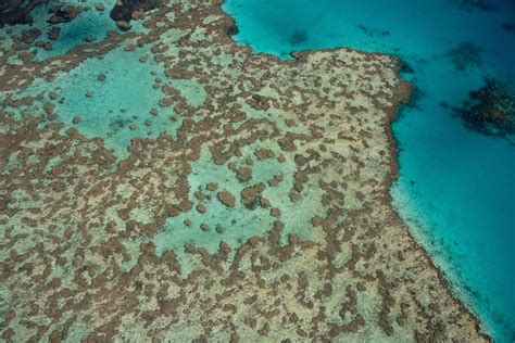 9 curiosidades sobre la Gran Barrera de Coral que no conocías