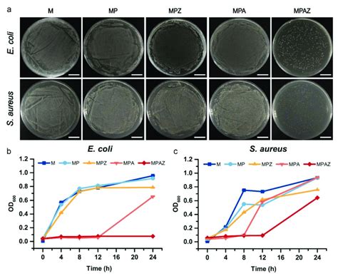 colony counting and bacterial growth curve assays a the colonies of download scientific