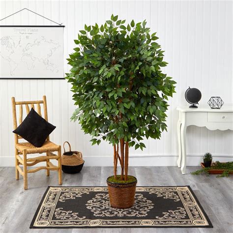 Nearly Natural 5 5 Ft Artificial Super Deluxe Ficus Tree In Wicker