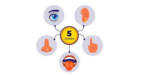 Qu Es El Marketing Sensorial Y Para Qu Sirve Elementos Y Estrategias