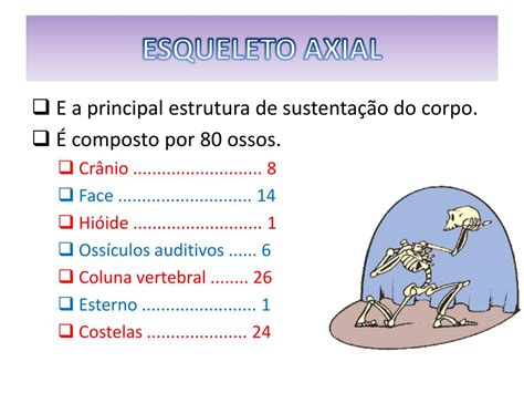 PPT SISTEMA ESQUELÉTICO PowerPoint Presentation free download ID