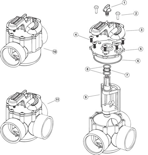 Pentair Intellichlor Flow Switch Wiring Diagram