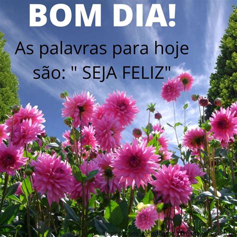 30 Figurinhas De Bom Dia Mensagens Lindas