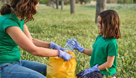 Educación ambiental qué es función sus objetivos e importancia
