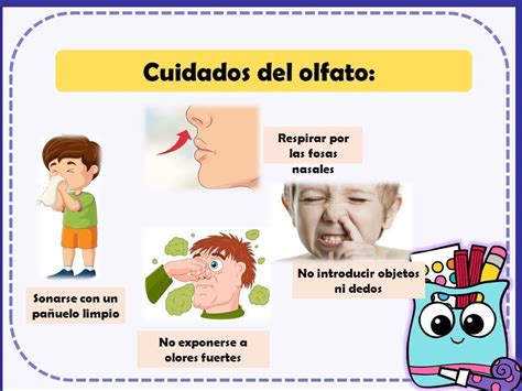 Cuidemos Nuestros Sentidos La Vista La Vista Es Uno De Los Sentidos