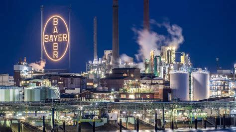Börse Fünf Aktien für wagemutige Investierende Handelszeitung
