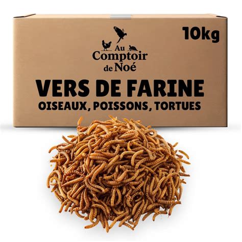Vers de farine pour les poules comment les élever vers de farine