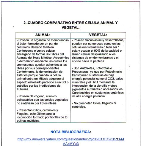 Lista 1 Foto Cuadro Comparativo De Célula Eucariota Y Procariota Pdf Lleno
