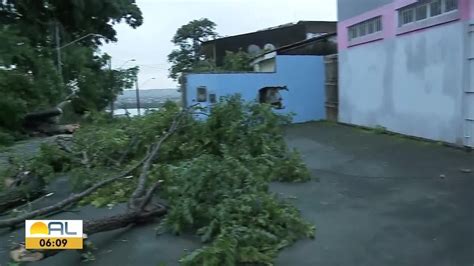 Chuva provoca queda de árvores em Alagoas Alagoas G1
