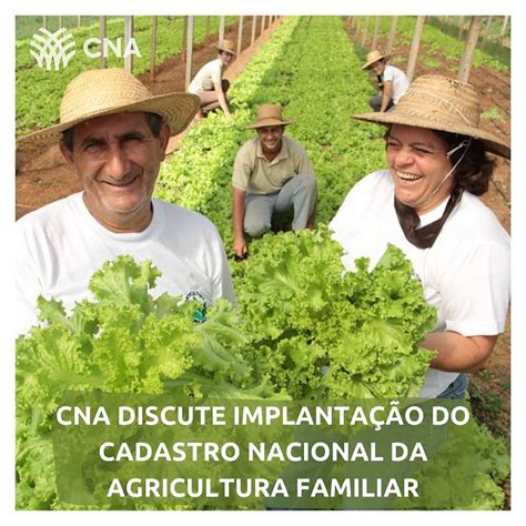 Cna Discute Implanta O Do Cadastro Nacional Da Agricultura Familiar