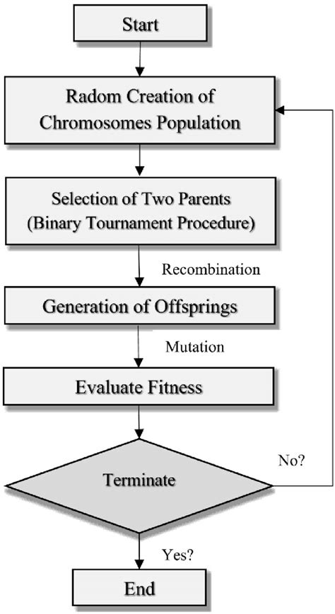 basic working procedure of multi expression programming adapted from download scientific