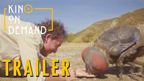 EINE FLIEGE KOMMT SELTEN ALLEIN Trailer German Deutsch 2020 YouTube