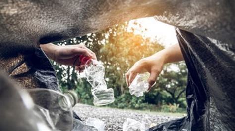 Día Mundial del Medio Ambiente Por qué se conmemora este lunes 5 de