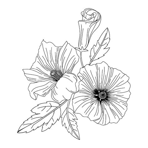 Premium Vector Hibiscus Flower Illustration