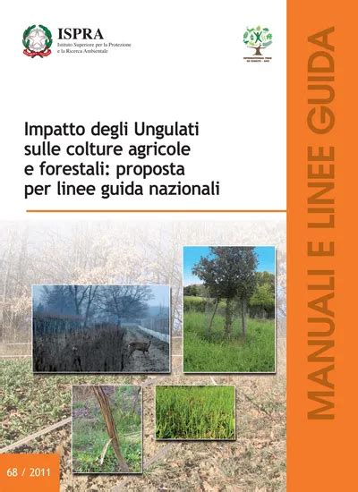 Criteri Di Stima E Formule Per Il Calcolo Del Danno