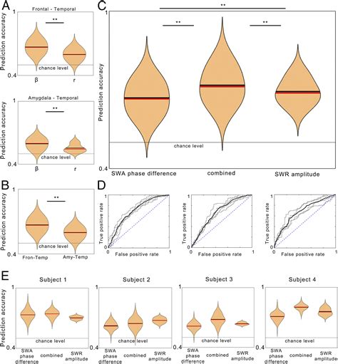 coupling between slow waves and sharp wave ripples engages distributed neural activity during