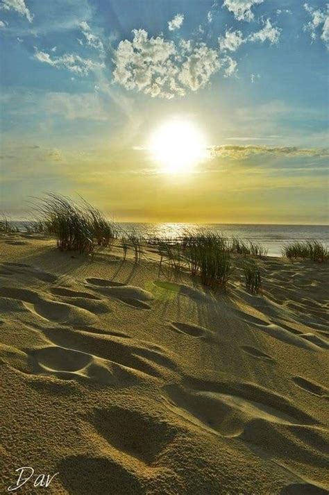 Pingl Par Val Rie Richard Horn Sur Arcachon Arcachon Plage