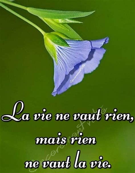 Bon D But De Semaine Tous Juin Sogeb