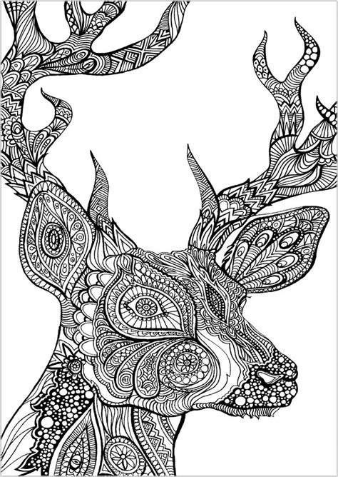 Deer Head Mandala Adult Coloring Page Coloringbay