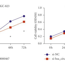 Changes In The Proliferation And Invasion Of BGC 823 And SGC 7901 Cells