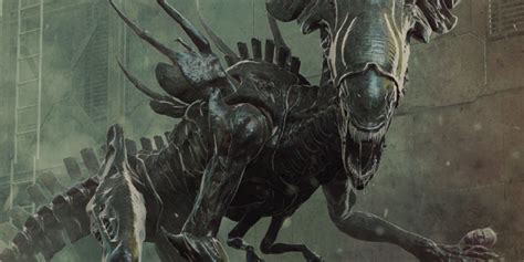 Xenomorph Human Hybrid