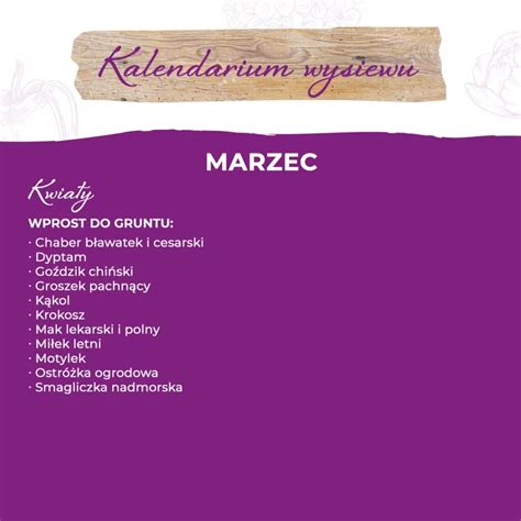 Jakie Ro Liny Sia Do Gruntu W Marcu