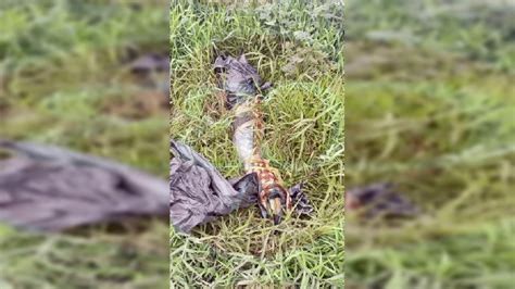 Encuentran en la Colonia Centenario de Morelia Michoacán cuerpo sin vida