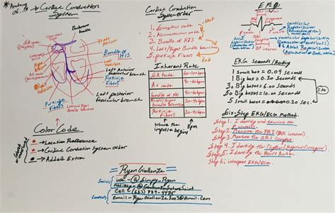 Cardiac Conduction EKG Interpretation MEDizzy