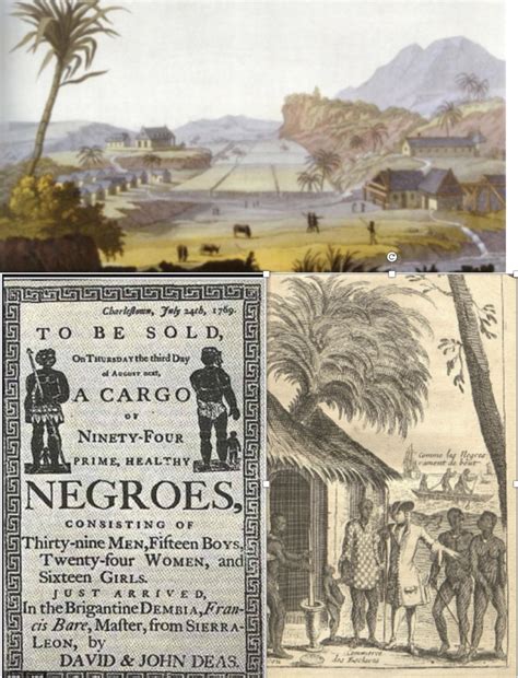 Le XVIIIeme siècle Thème 1 Bourgeoisie marchande négoces