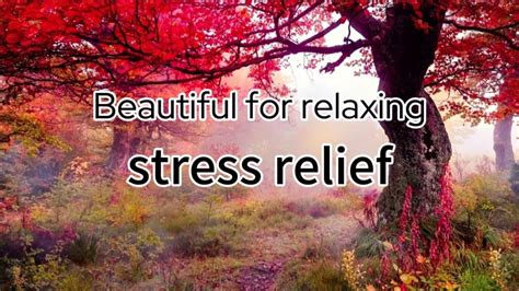 Beautiful Relaxing Musik For Stress Relief Peaceful Piano Musik Deep