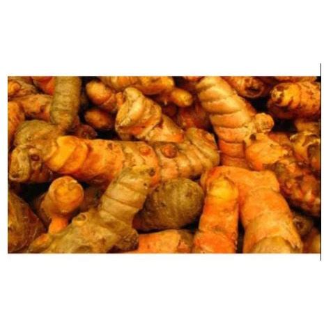 Jual Grosir Gram Kunyit Segar Murah Shopee Indonesia