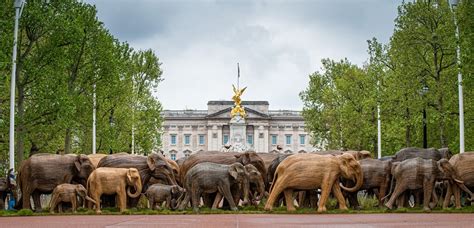 Herds Of Life Sized Elephant Sculptures Are Popping Up Around London