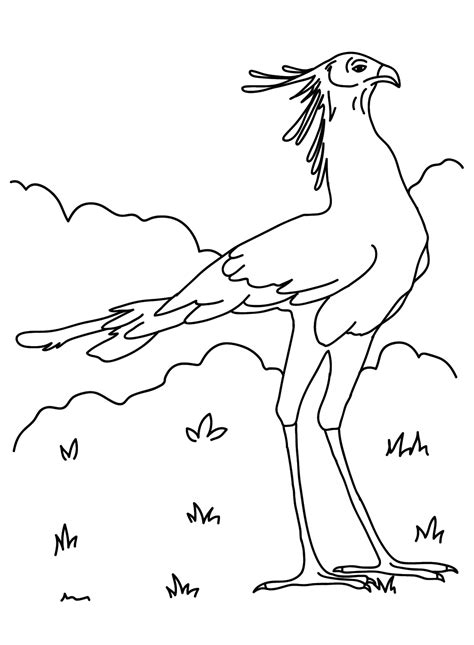 Secretarybird Color Page Free Printable Coloring Pages