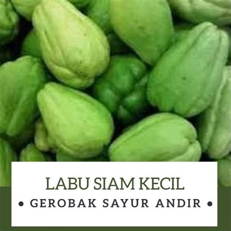 Jual Labu Siam Kecil Gr Shopee Indonesia