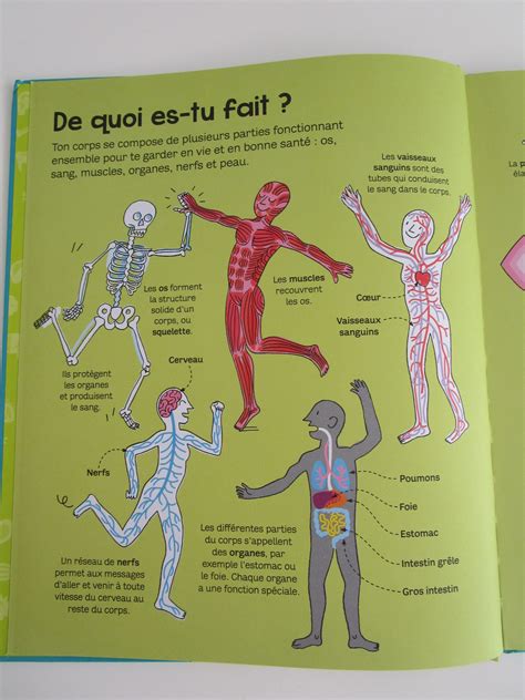 Mon Livre Du Corps Humain Editions Usborne