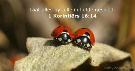 23 November 2022 Bybelvers van dag 1 Korintiërs 16 14