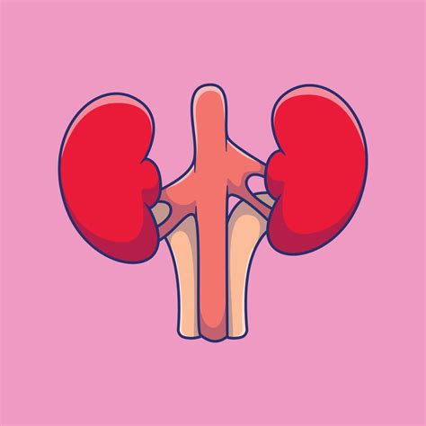 riñón dibujos animados vector íconos ilustración médico cuidado de la