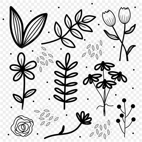 Flower And Leaves Doodle Art Flower Drawing Leaves Drawing Doodle