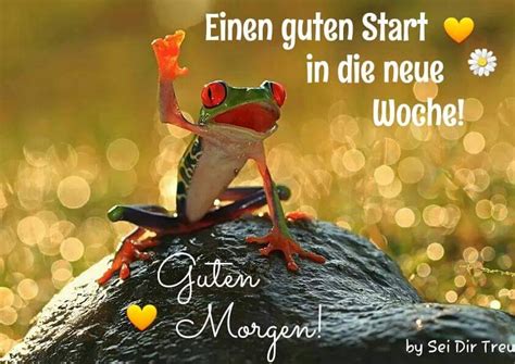 32 Schöne Sprüche Start in Woche Schöne sprüche zum thema liebe