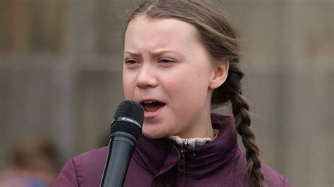 Greta Thunbergs Private Jet Ownership Hypocrisy Unveiled Regretless