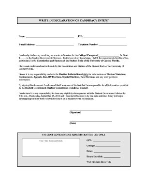 Fillable Online WRITE IN DECLARATION OF CANDIDACY INTENT Fax Email