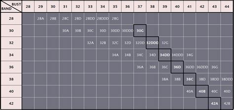 34DD Bra Size What It Is What 34DD Boobs Look Like 2023