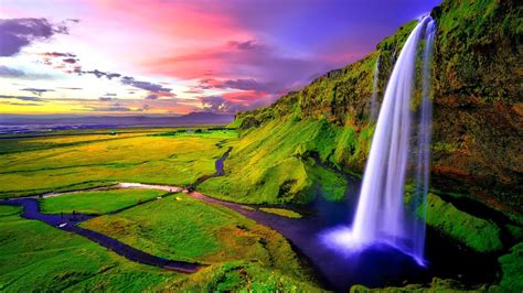 Beautiful Relaxing Music Nature Sounds Bird Sounds Calming Stress