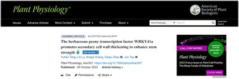 我院陶俊教授团队在Plant Physiology发表研究论文揭示转录因子PlWRKY41a调控芍药花茎强度的分子机制 扬州大学园艺园林学院