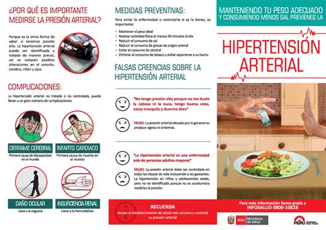 Triptico Tema Sobre Hipertension Arterial Enfermeria En Salud Del
