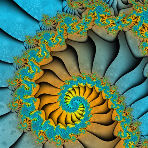 spiral flickr fibonacci art project patterns in nature textures patterns color patterns