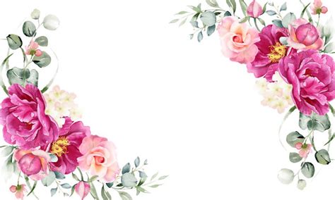 Pink Peony Border Images Browse 39 367 Stock Photos Vectors And