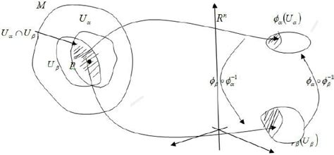 the smooth maps 1 on the n dimensional euclidean space r n download scientific diagram