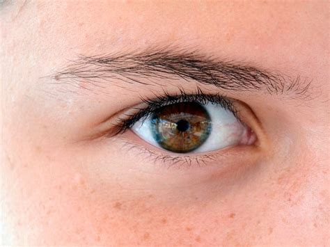 Cuáles son las enfermedades más frecuentes de los ojos Oftalmocor