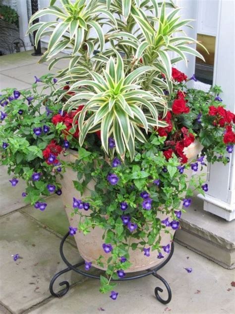 25 Gorgeous Full Sun Container Plants Ideas To Make Up Your Garden